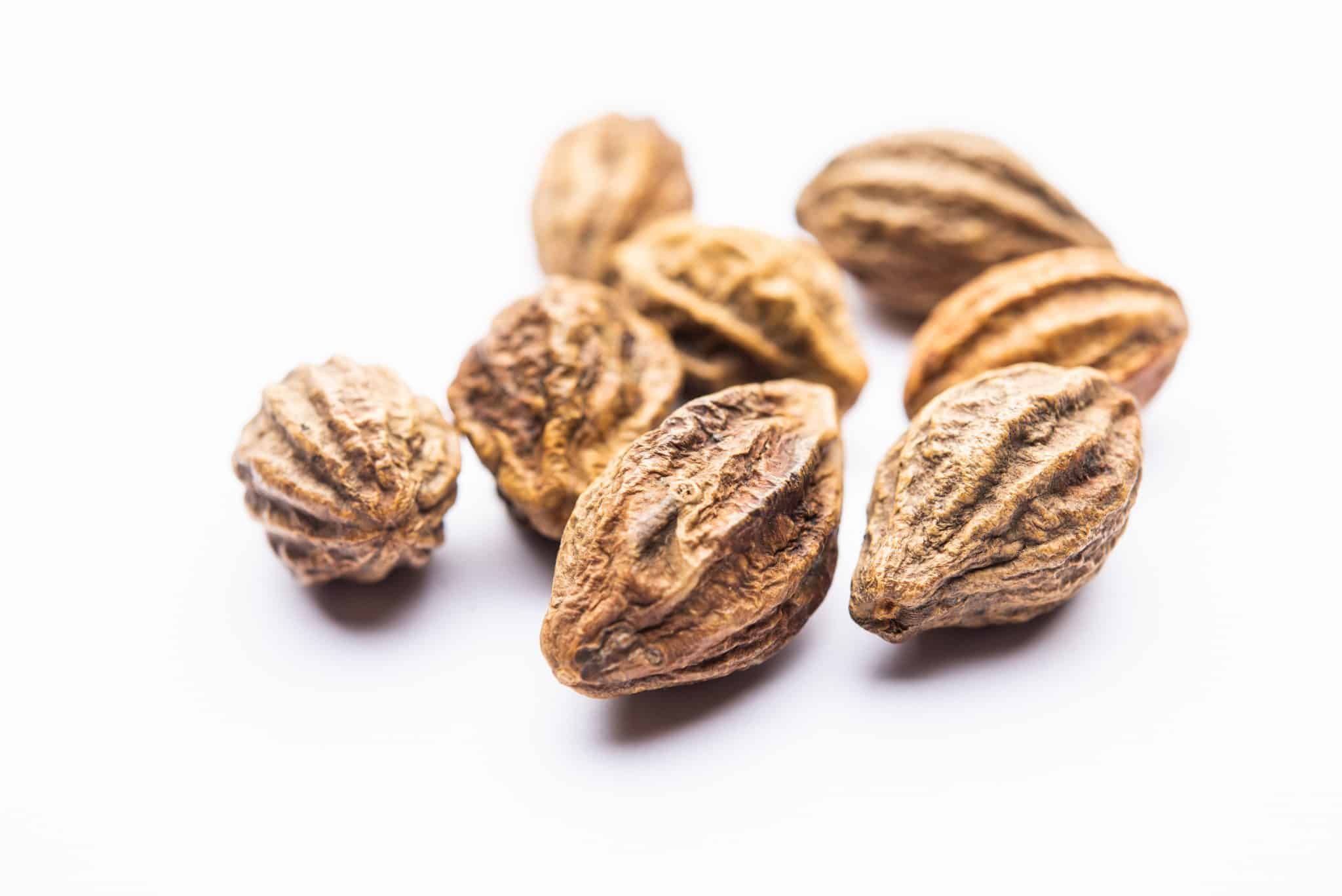 Chebula: one of nature's most powerful antioxidants | Orescience Laboratory